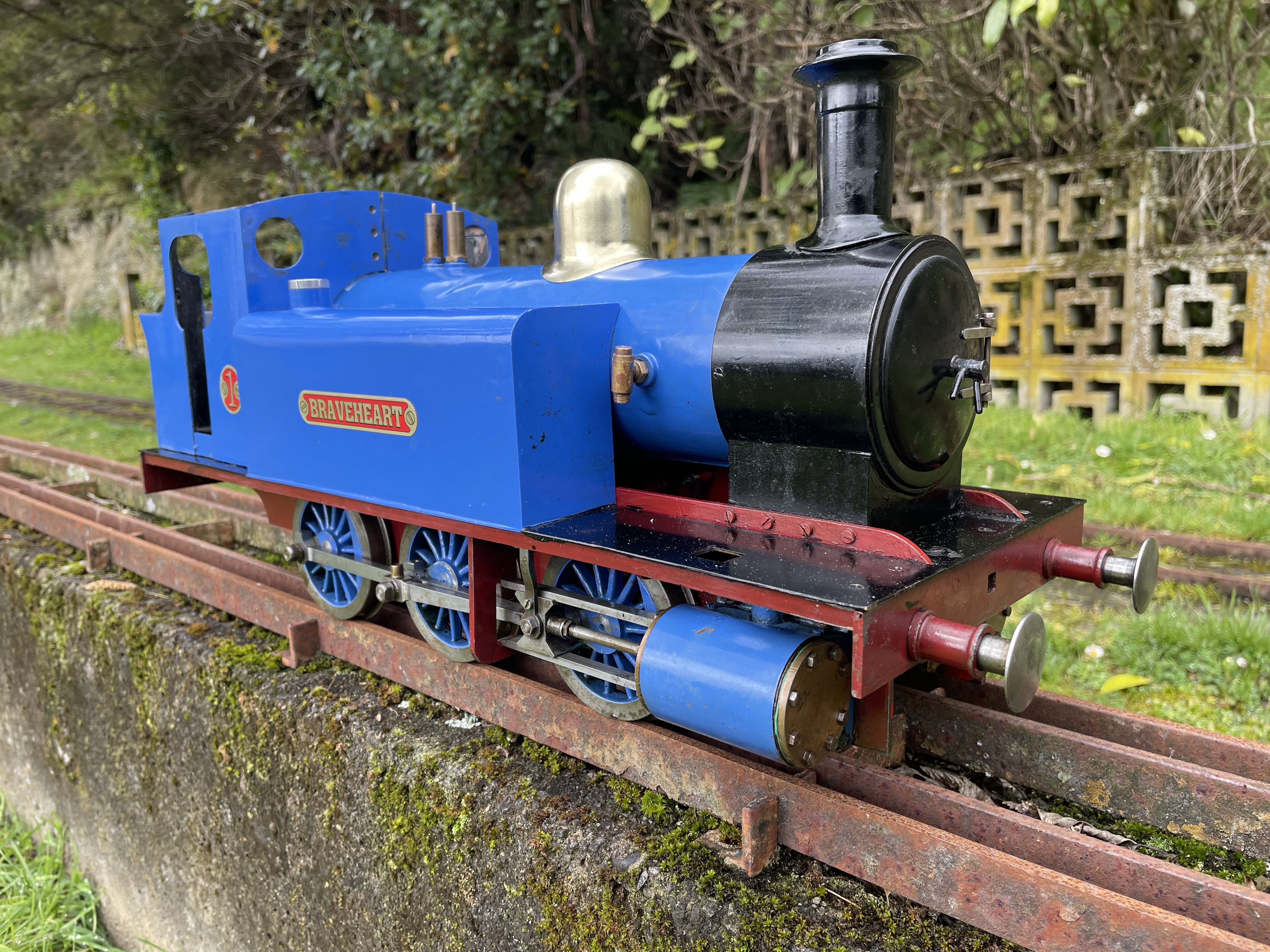 Braveheart – Pine Valley Estate Railway